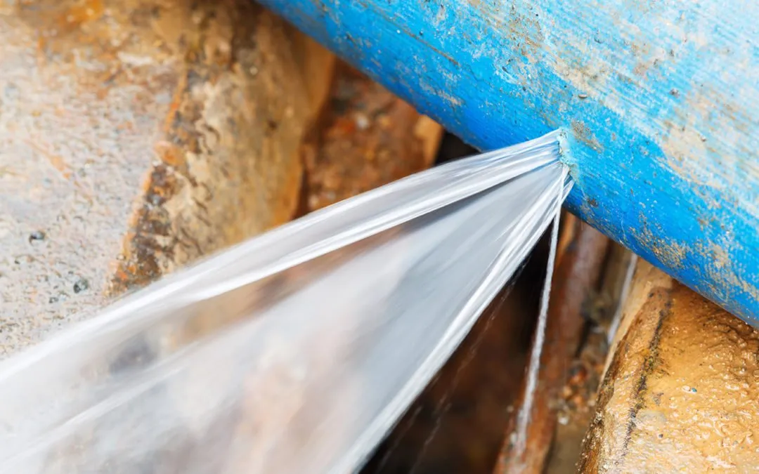 Tree Root Removal in the Treasure Coast, Tree Root Removal Service