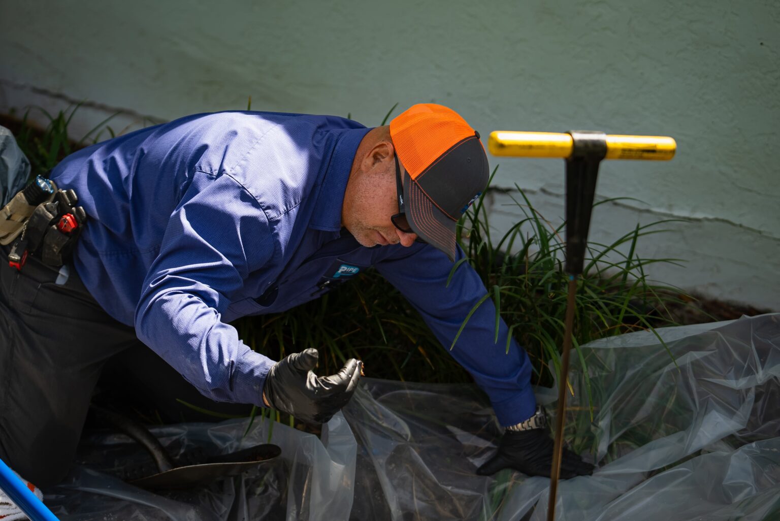 Tree Root Removal in the Treasure Coast, Tree Root Removal Service